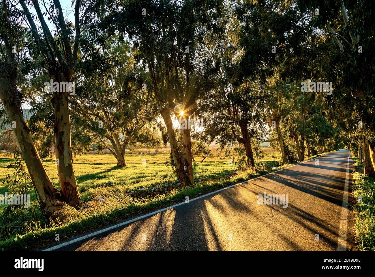 The Fourni - Kastelli road, Epano Mirabello, Municipality of Agios ...