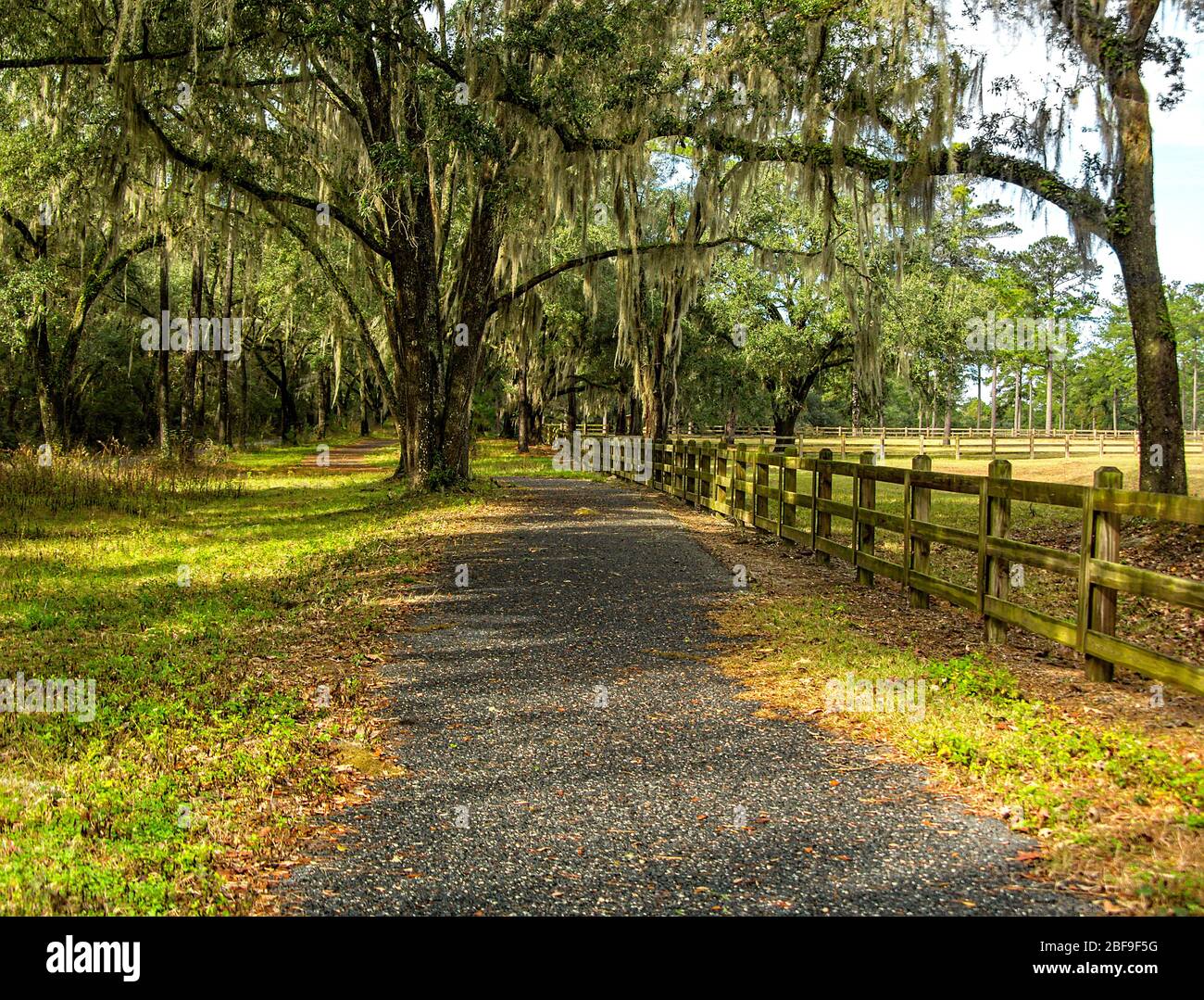 Black people walking countryside hi-res stock photography and images ...