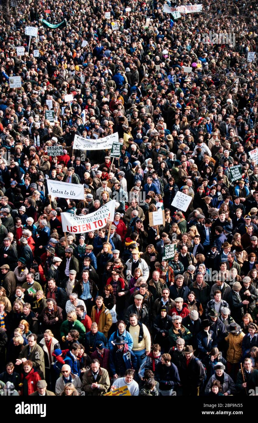 CROWDS: In a time of social distancing, here is a look back at events ...