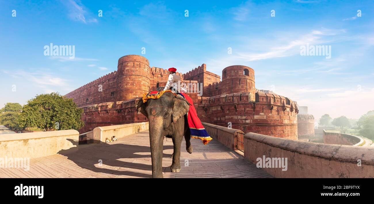 Agra Fort of India, traditional elephant ride Stock Photo - Alamy