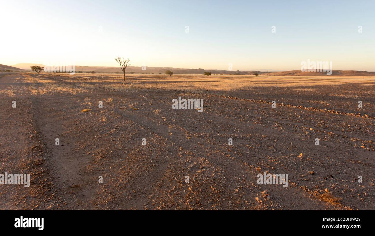 A beautiful desertic landscape in Namibia, Africa Stock Photo - Alamy