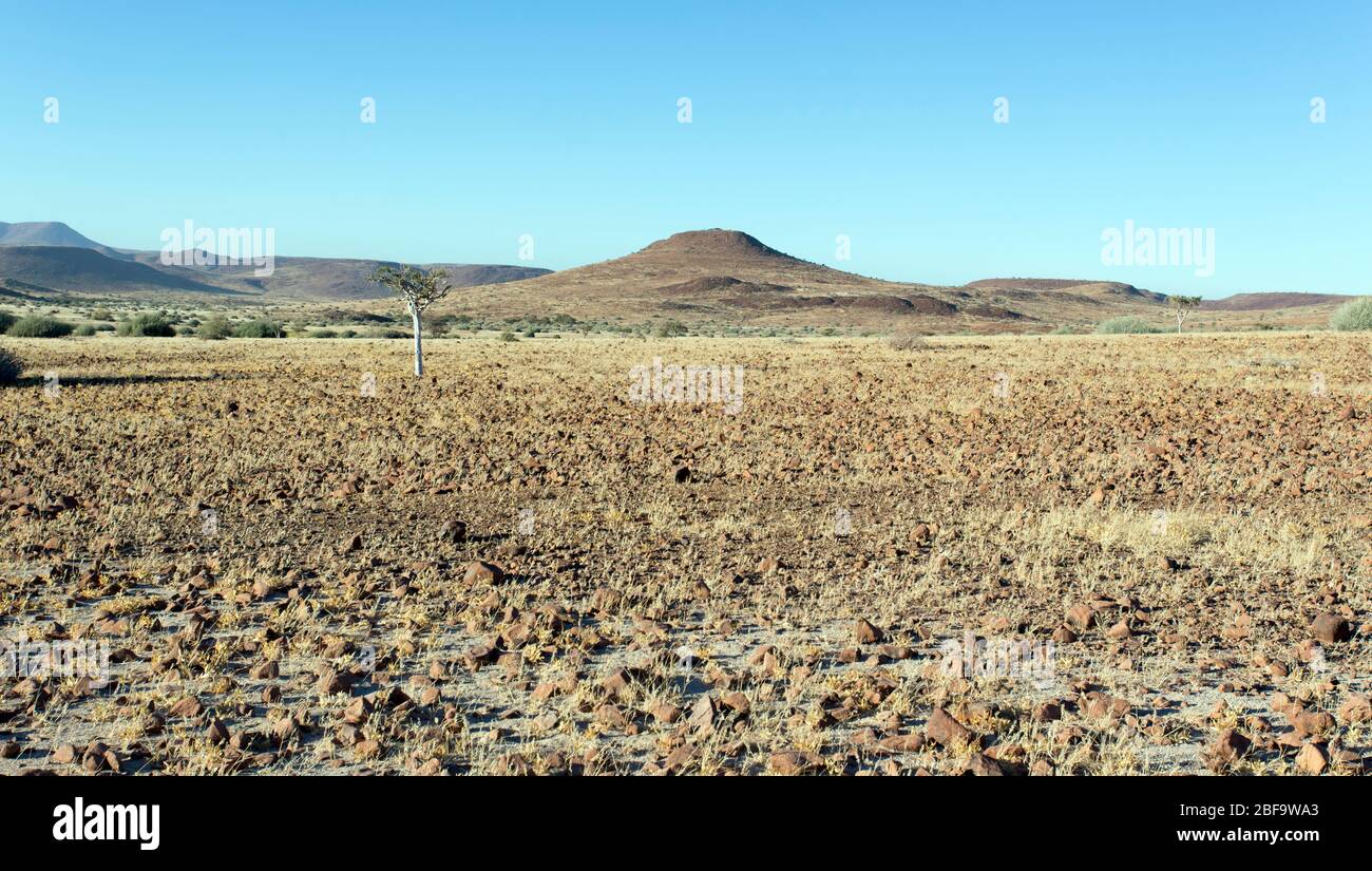 A beautiful desertic landscape in Namibia, Africa Stock Photo - Alamy