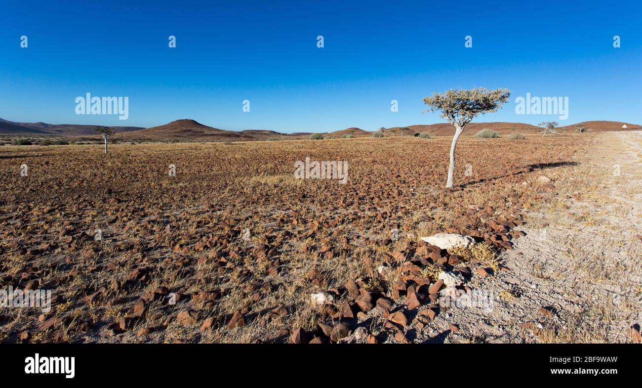 A beautiful desertic landscape in Namibia, Africa Stock Photo - Alamy
