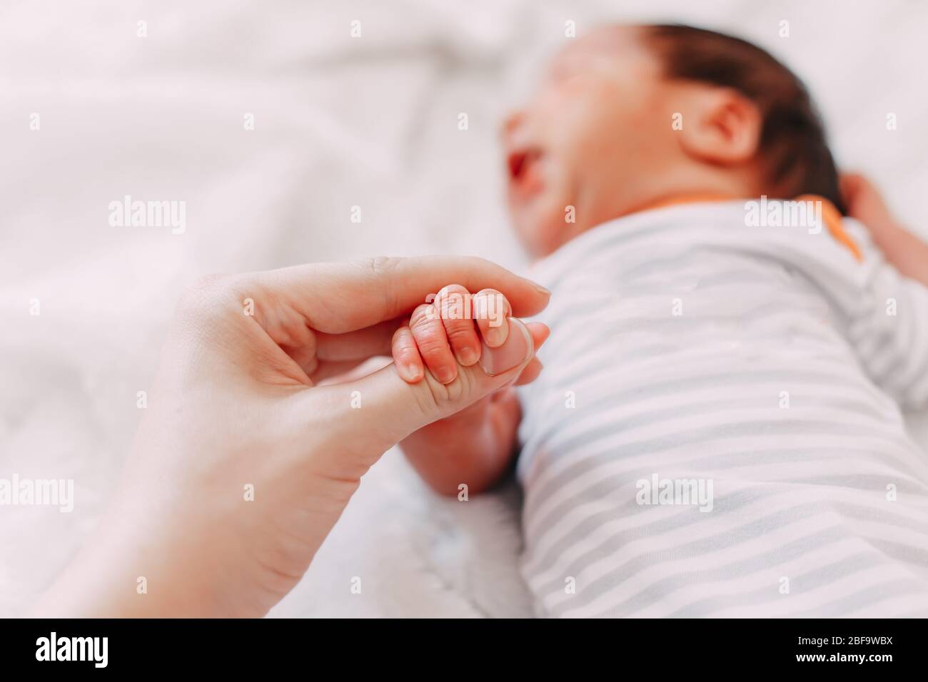 Close-up shot of baby's little cute hand reaching for mother's loving ...