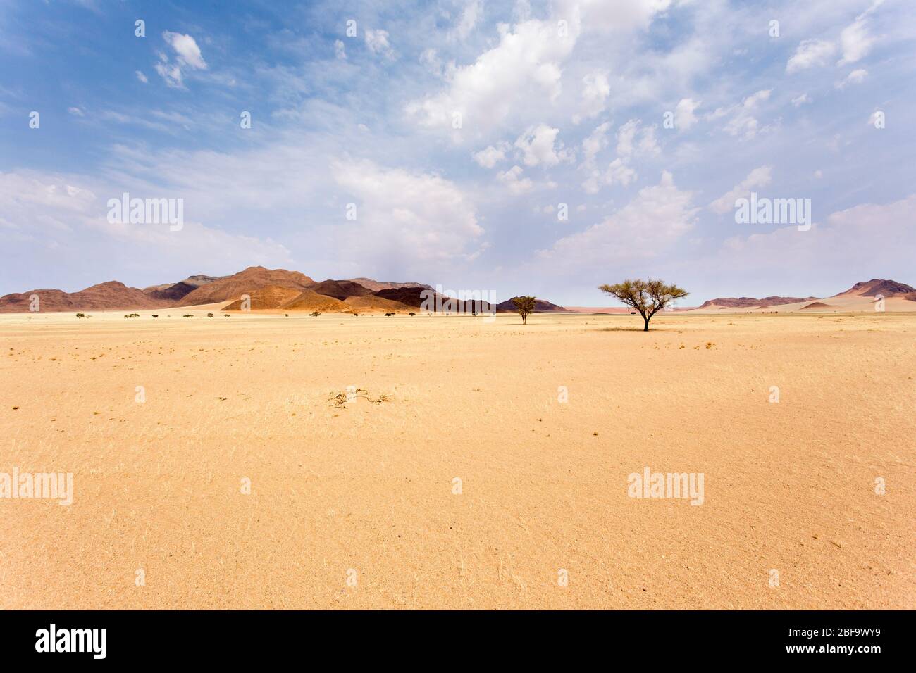 A beautiful desertic landscape in Namibia, Africa Stock Photo - Alamy