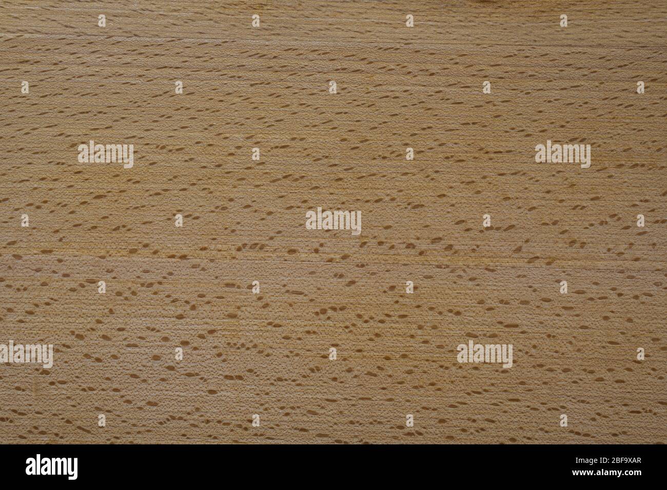 Beech wood texture hi-res stock photography and images - Alamy