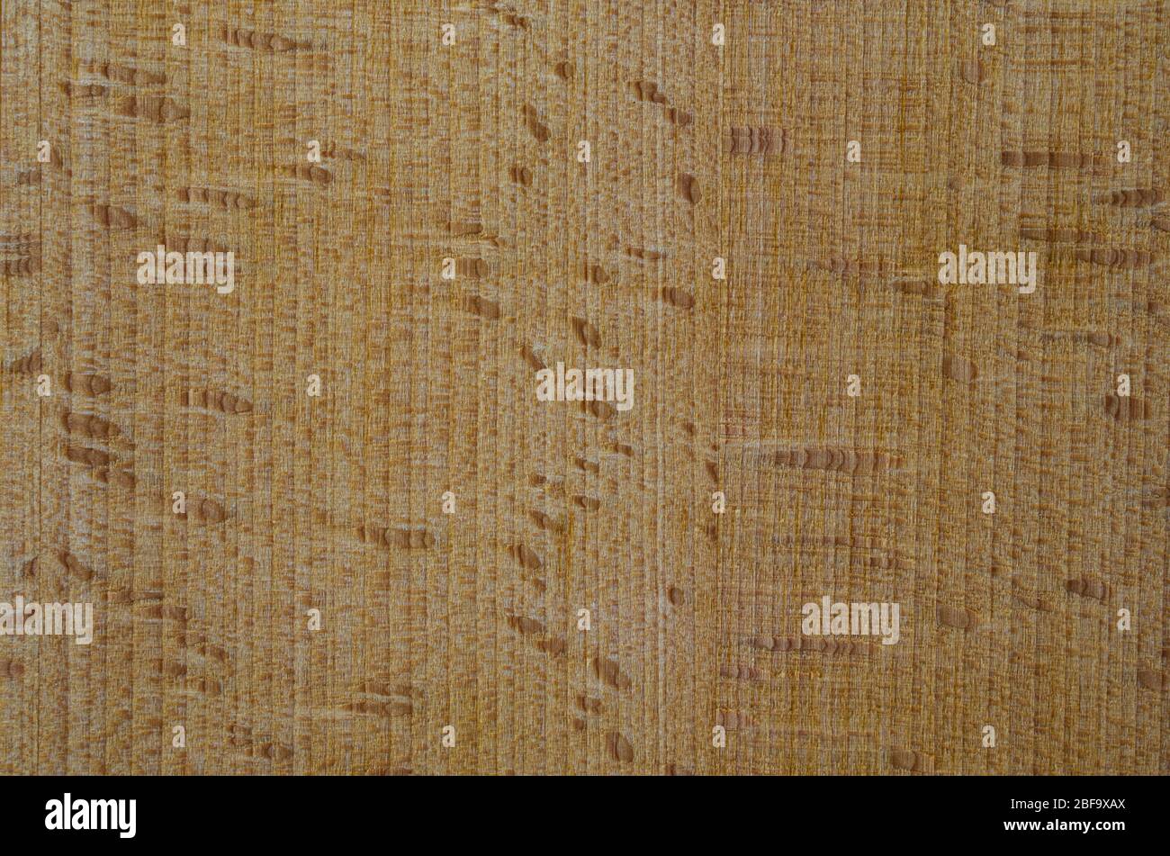 Beech wood texture hi-res stock photography and images - Alamy
