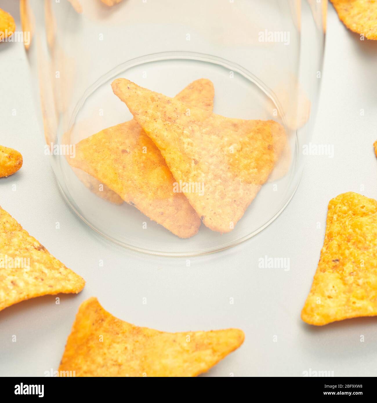 Isolation concept. Two chips into glass house Stock Photo - Alamy
