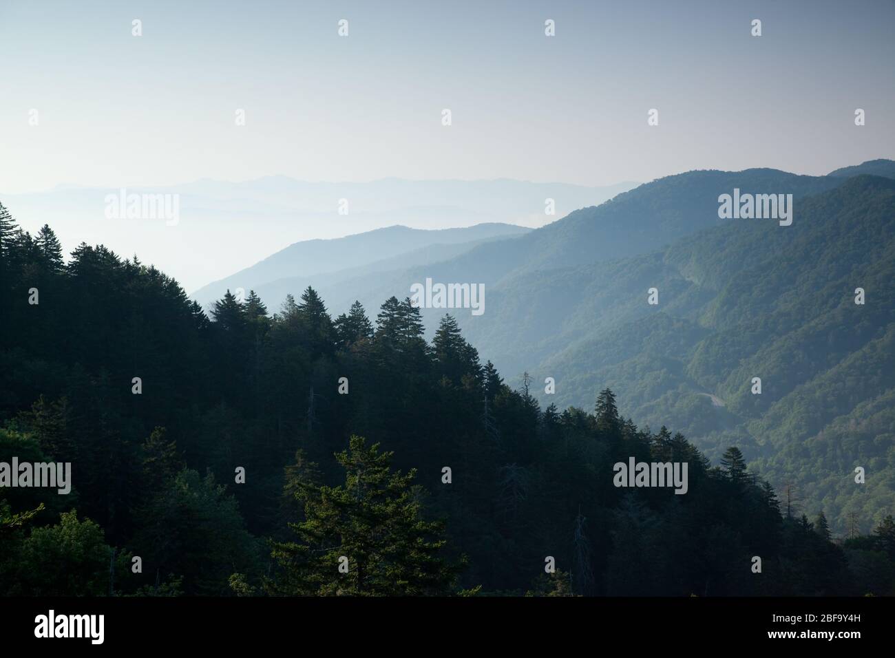 Smoky Mountain with evergreen trees Stock Photo - Alamy