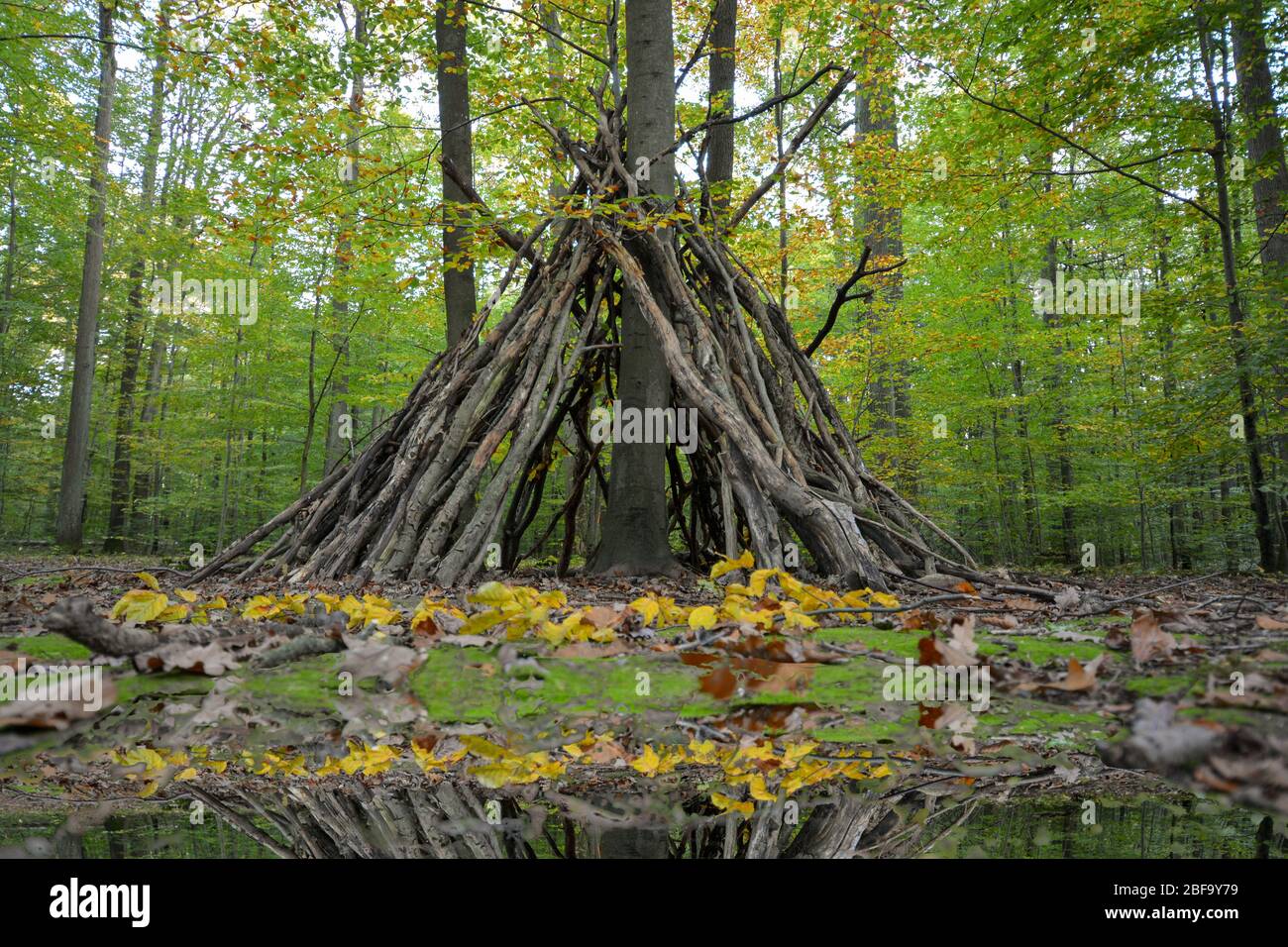 treehouse / tent - a tipi made by children in the autumn forest Stock ...