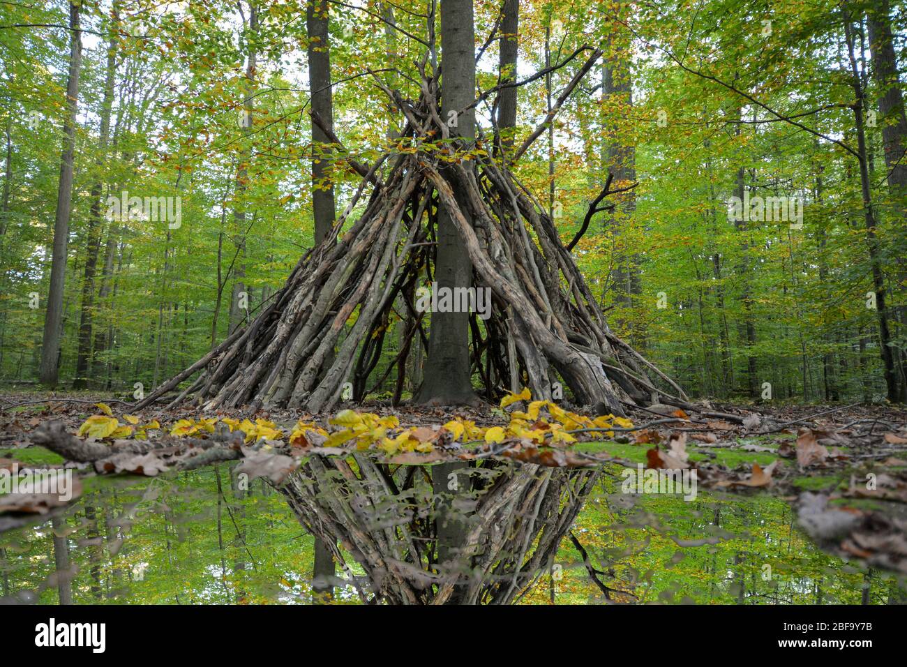Fort made sticks in woods hi-res stock photography and images - Alamy