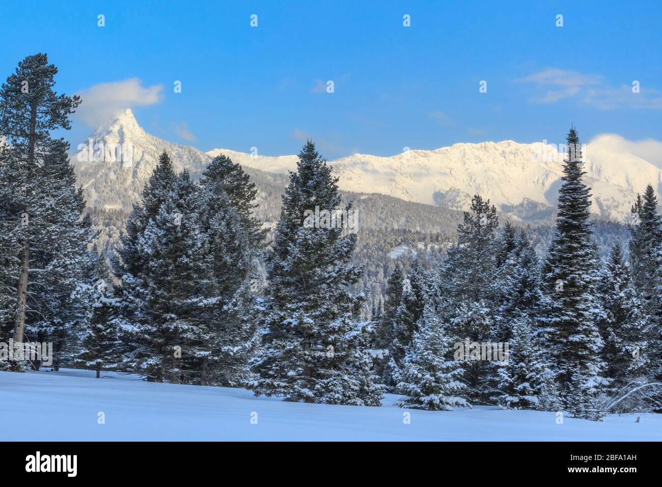 Mt d6808 hi-res stock photography and images - Alamy