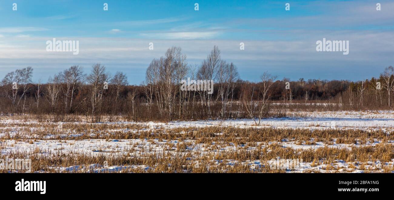 Crex meadows wildlife hi-res stock photography and images - Alamy
