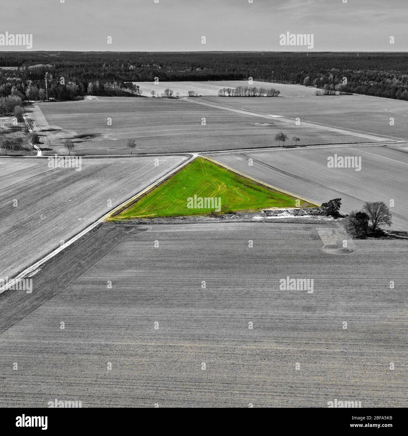 Abstract green triangle, aerial view of a green triangular meadow ...