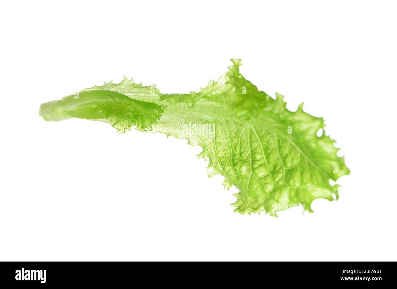 Fresh lettuce on white background Stock Photo - Alamy
