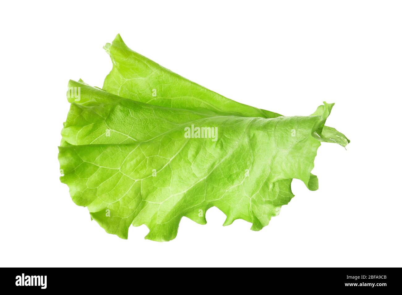 Fresh lettuce on white background Stock Photo - Alamy