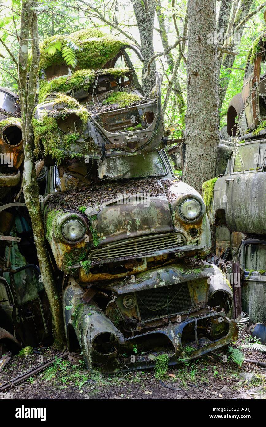 Stacked scrap vehicles at Båstnäs car cemetery, Värmland, sweden Stock ...