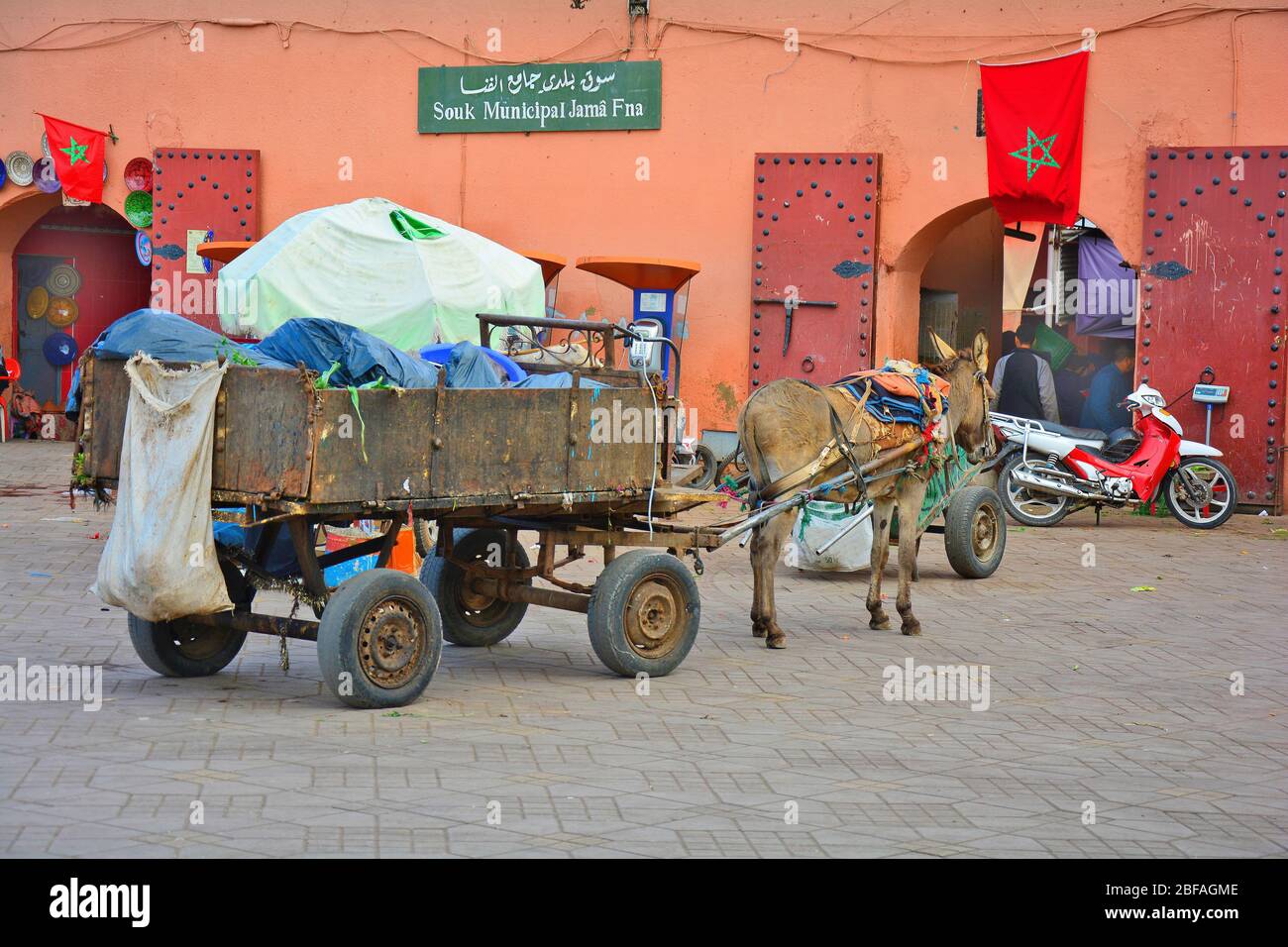 Donkey cart transport morocco hi-res stock photography and images - Alamy
