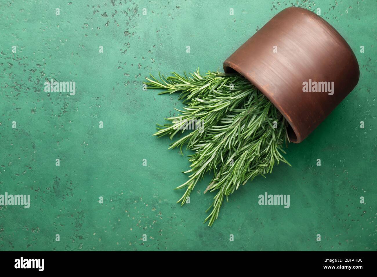 Fresh rosemary on color background Stock Photo - Alamy