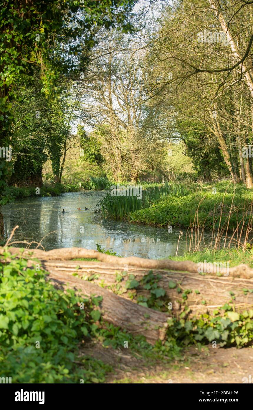 Canal calne hi-res stock photography and images - Alamy
