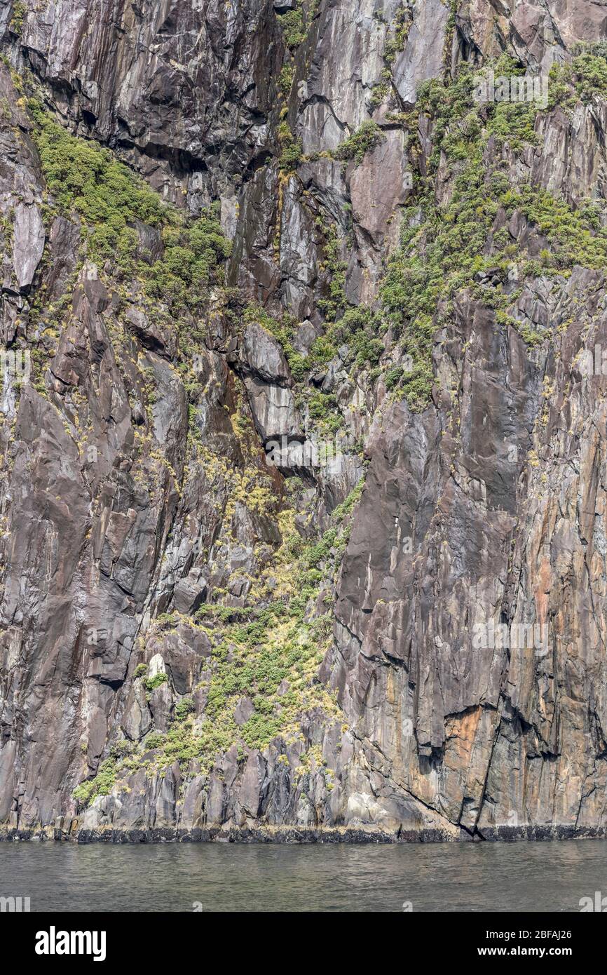 Vegetation z hi-res stock photography and images - Alamy