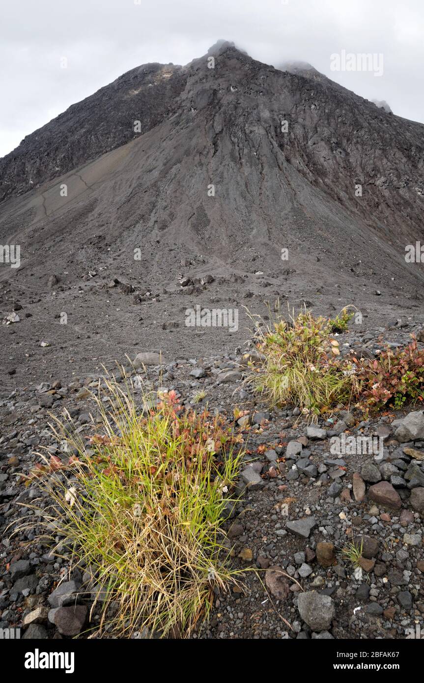Active merapi volcano mountain hi-res stock photography and images - Alamy