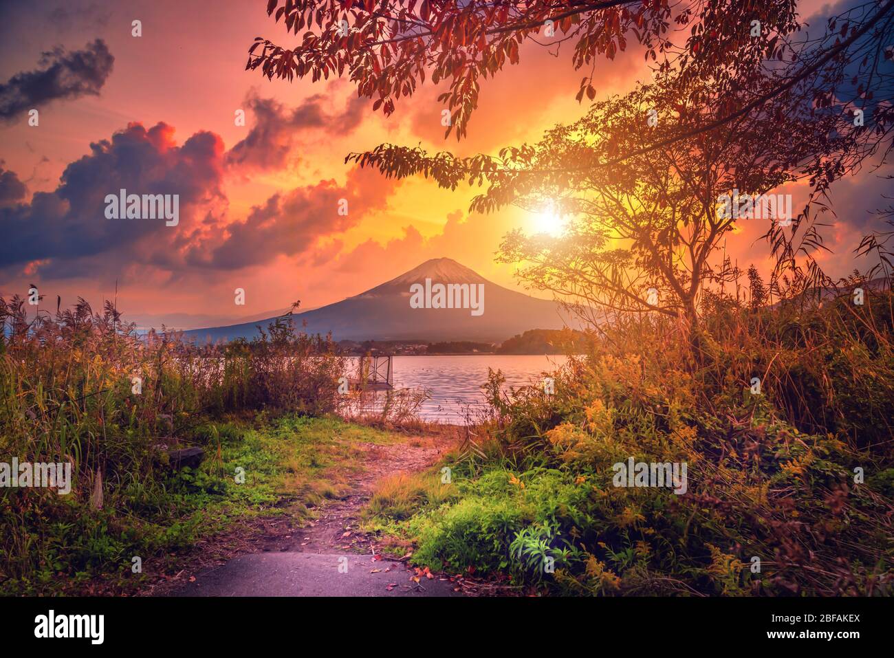 Landscape image of Mt. Fuji over Lake Kawaguchiko with autumn foliage at sunrise in ...