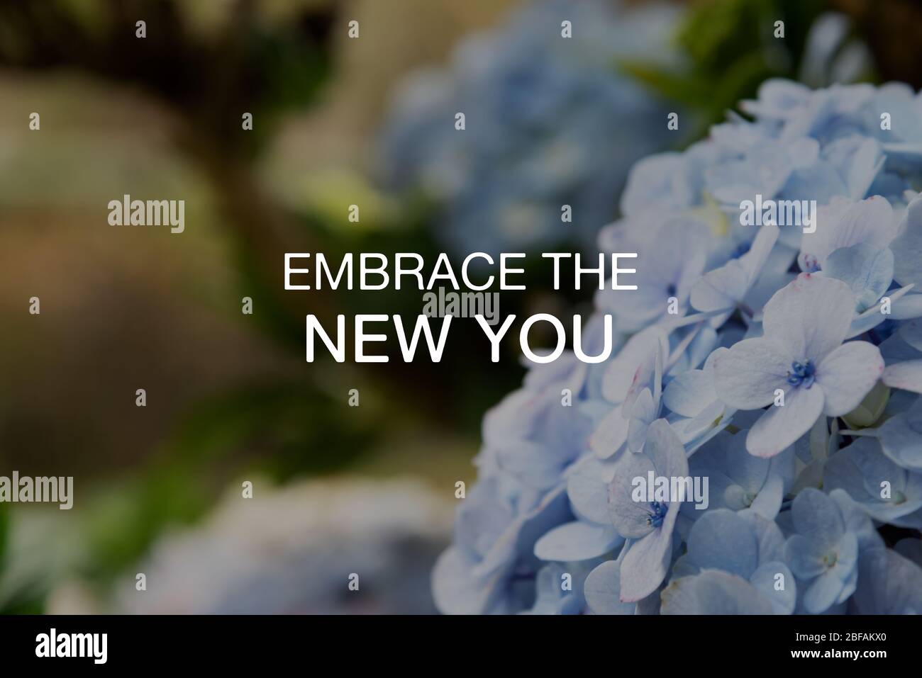 Inspirational quotes - Embrace the new you Stock Photo - Alamy