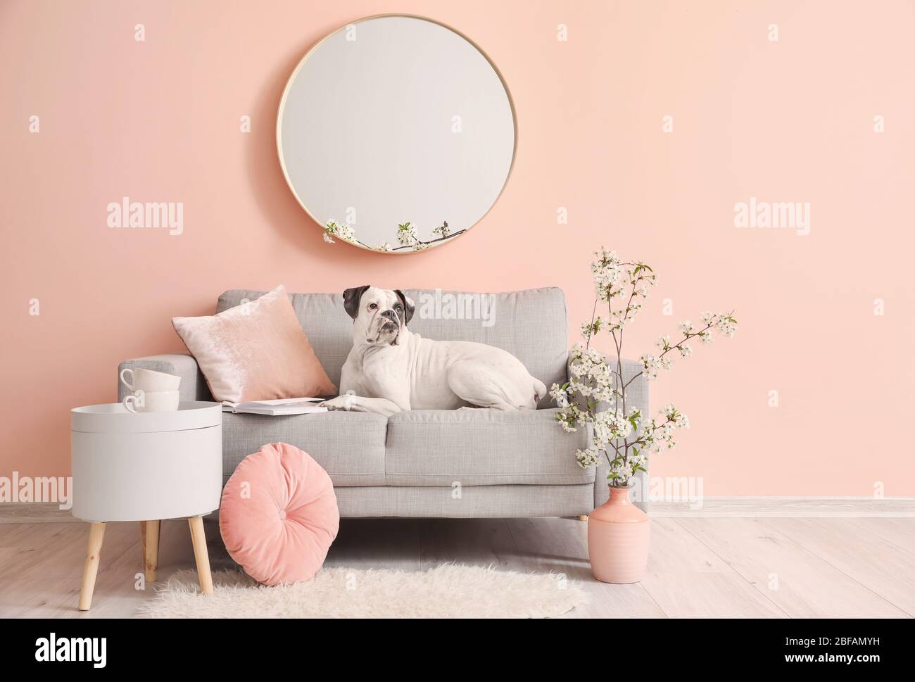 Cute dog in stylish interior of living room Stock Photo - Alamy