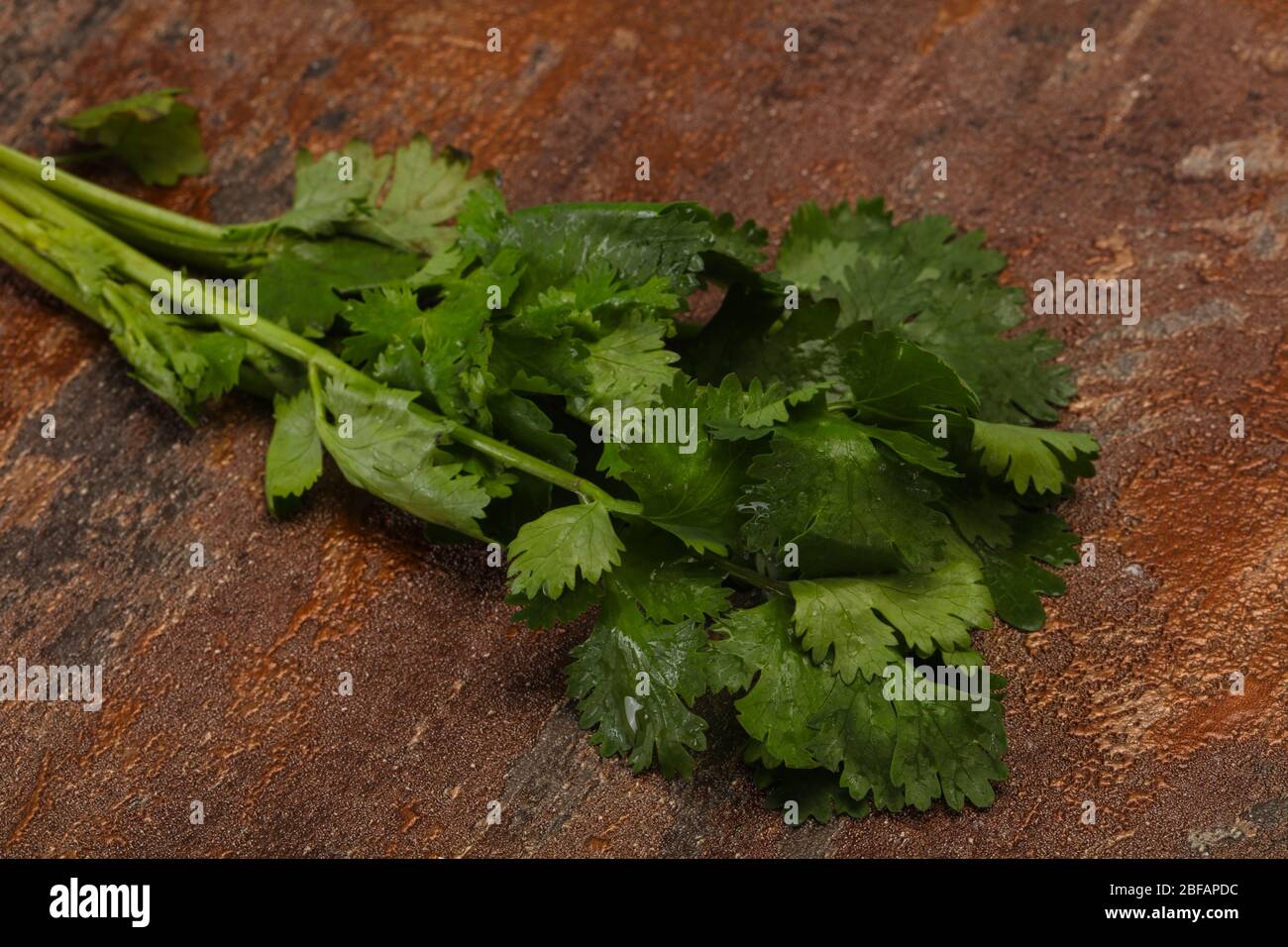 Fresh ripe Green cilantro leaves spice Stock Photo - Alamy
