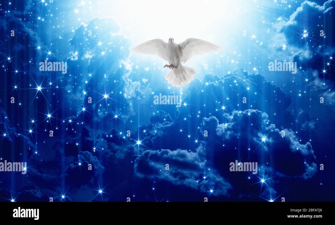 The Holy Spirit As A White Dove