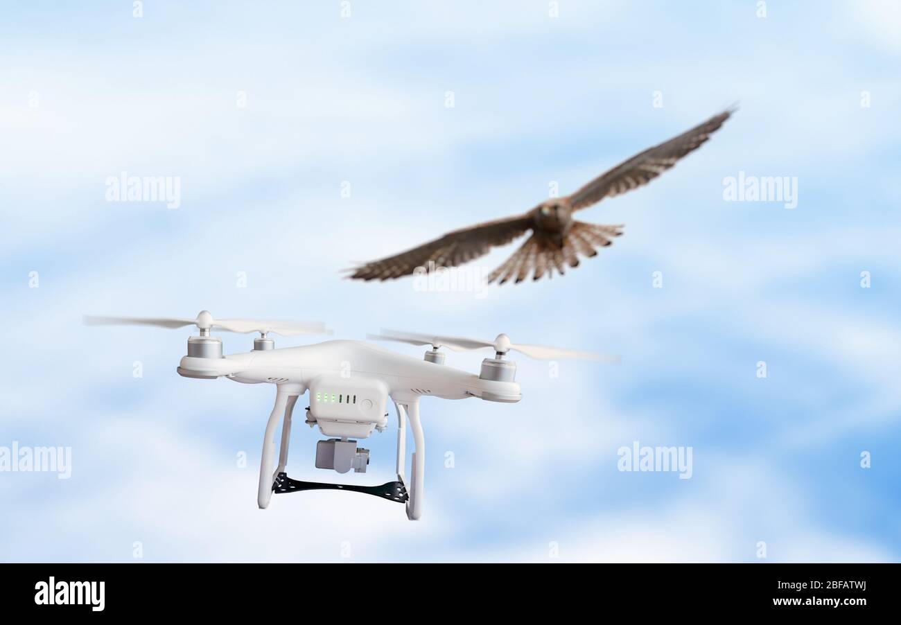 Eagle attacks flying drone in mid-air Stock Photo - Alamy