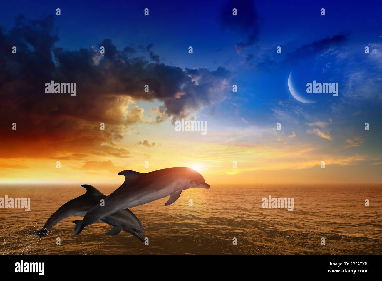 Dolphins Jumping Out Of The Water At Sunrise