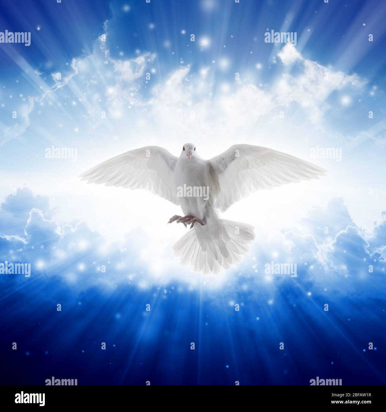 Holy spirit bird flies in skies, bright light shines from heaven, white ...