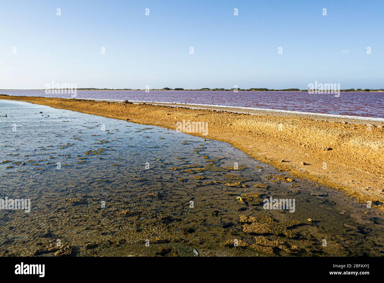 Salinas de las Cumaraguas. Falcon, Falcon State, Venezuela Stock Photo ...
