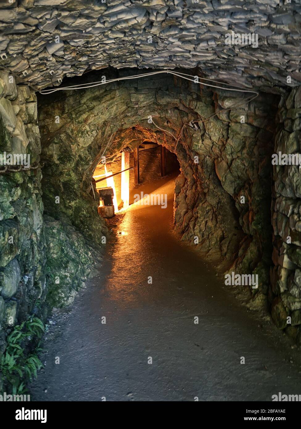 Interior of the quarry called "Pesciara" in Bolca, Italy. One of the ...