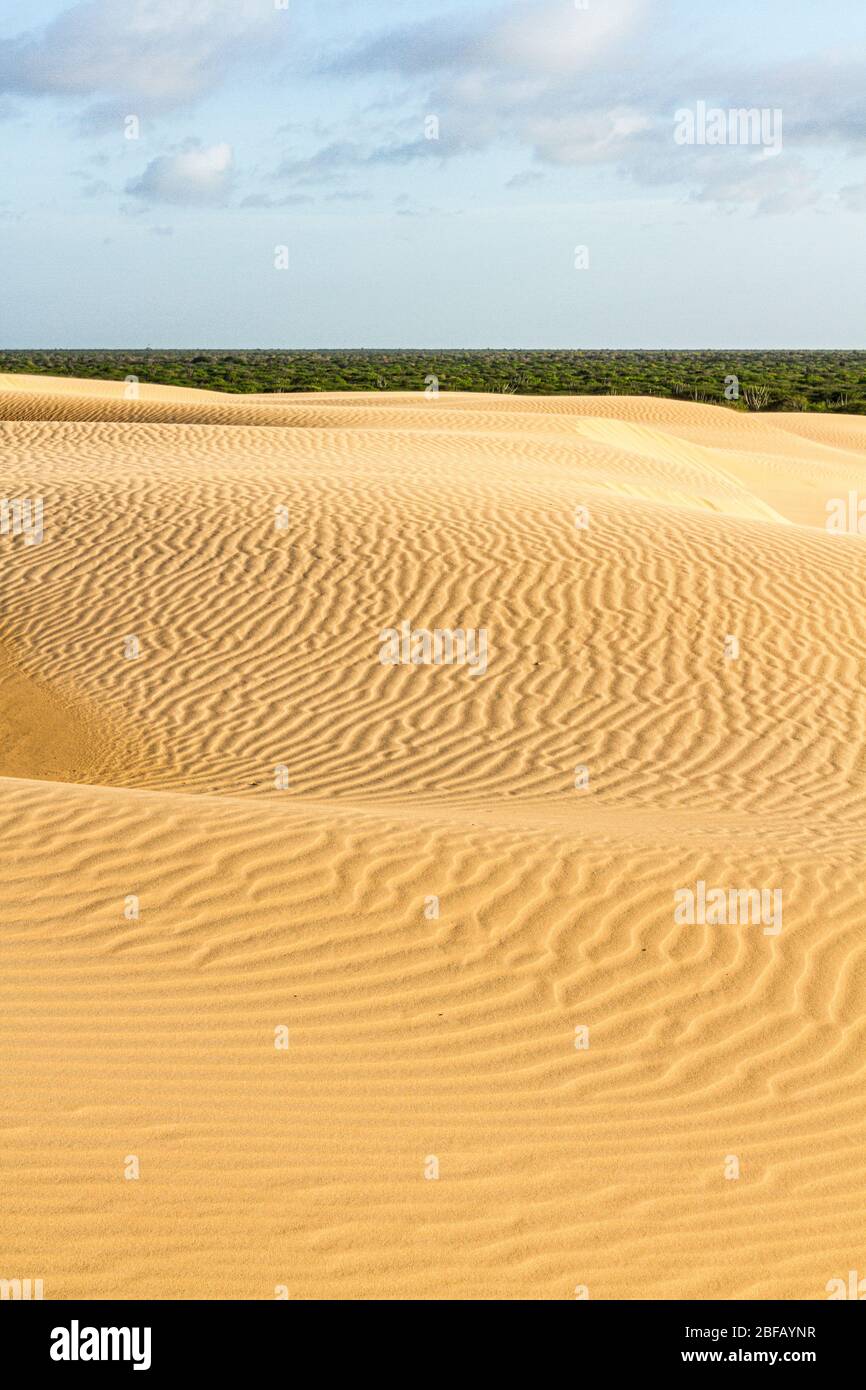 Sand dunes in Medanos Blancos Beach, in Paraguana Peninsula, the most ...