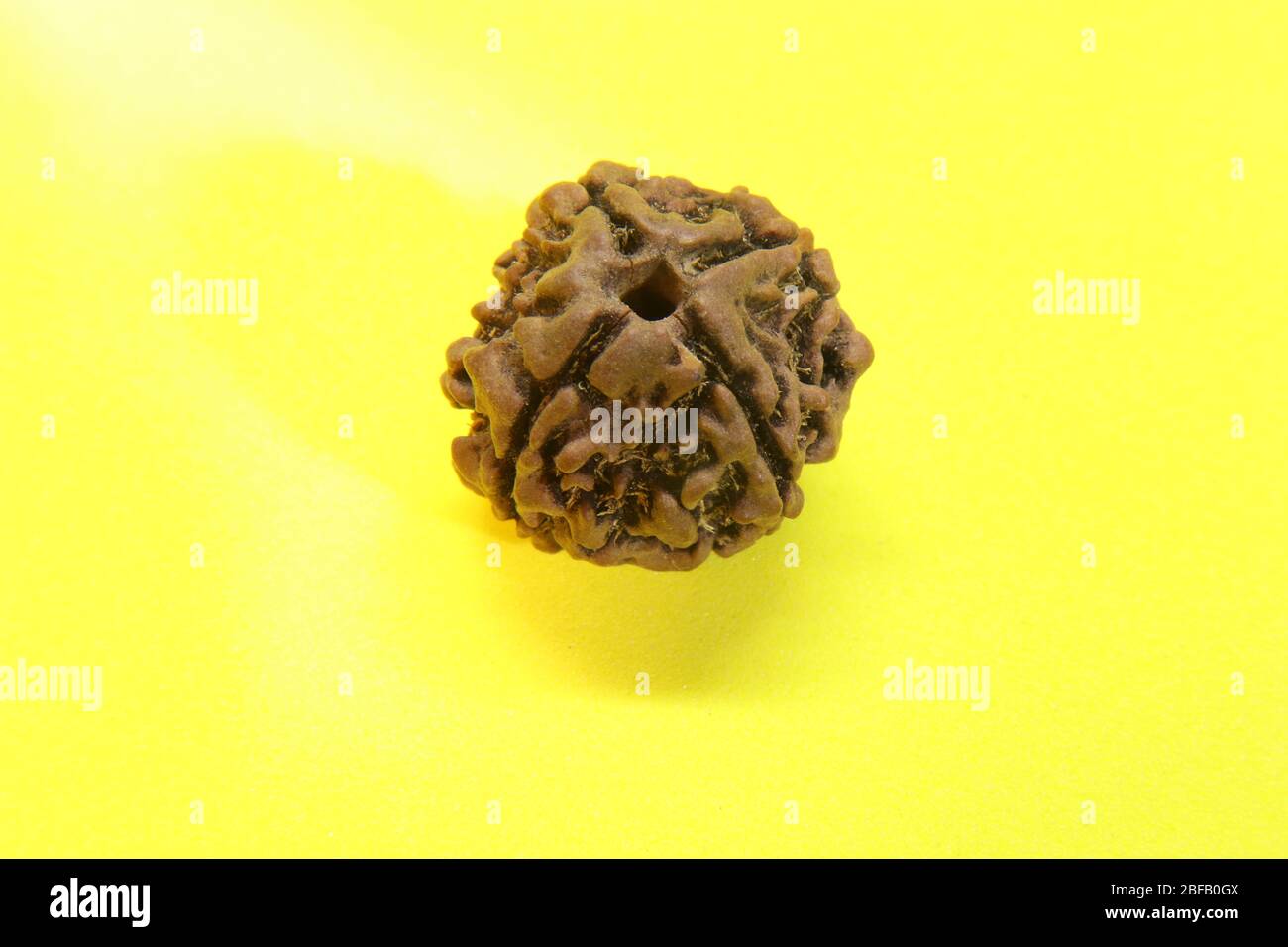 nepali seeds for indians Stock Photo - Alamy