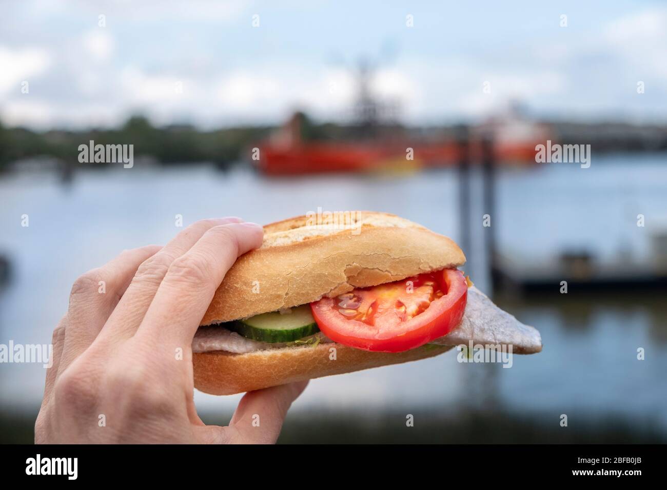 Man eating typical North German fish bun with herring, onions, cucumber ...