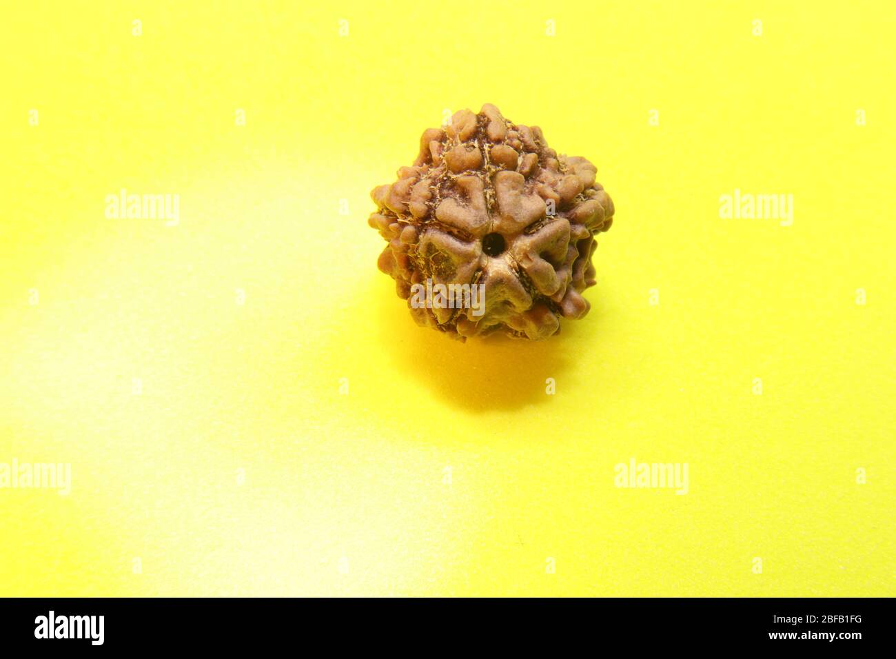 nepali seeds for indians Stock Photo - Alamy
