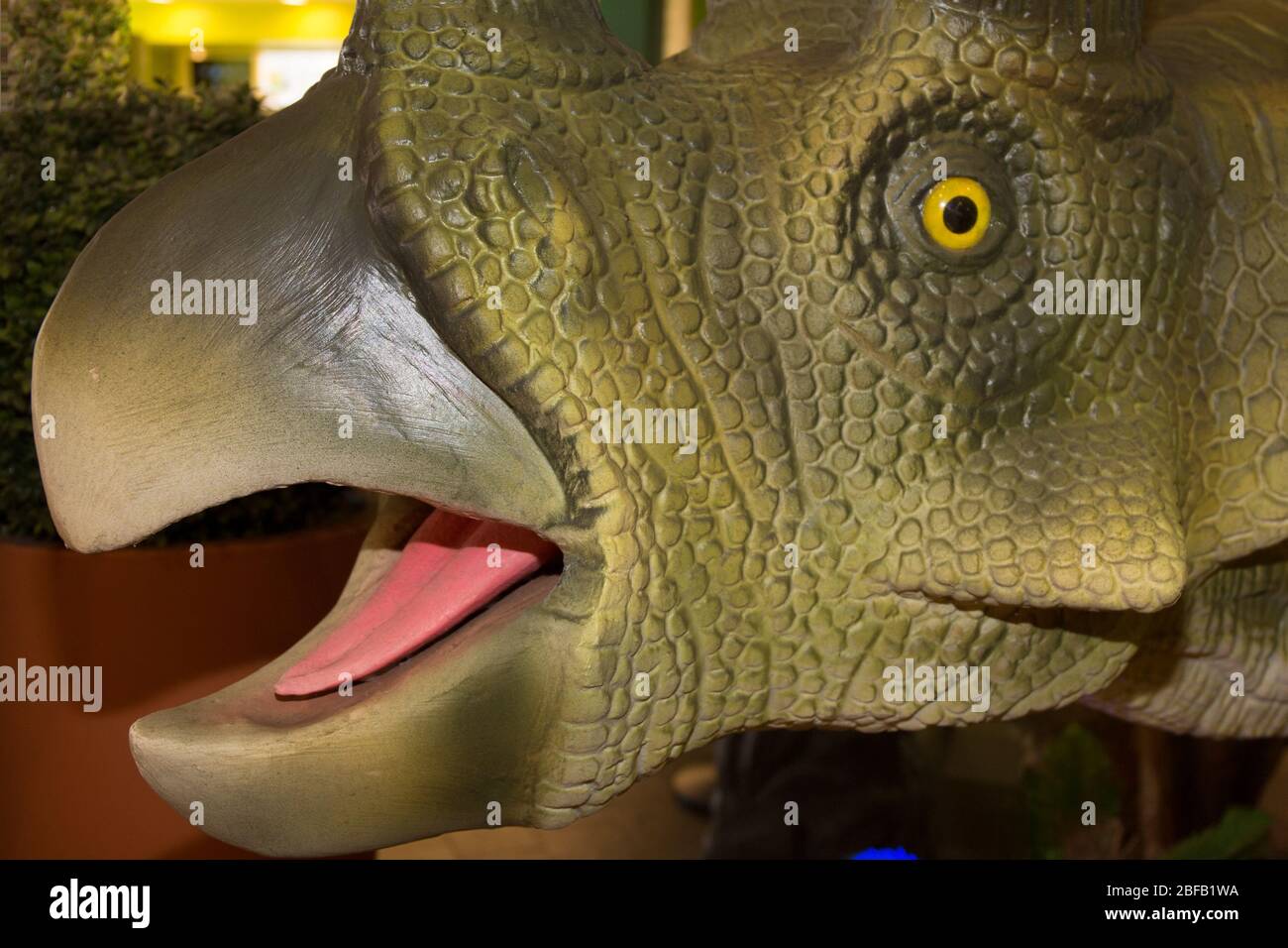 Dinosaur face hi-res stock photography and images - Alamy