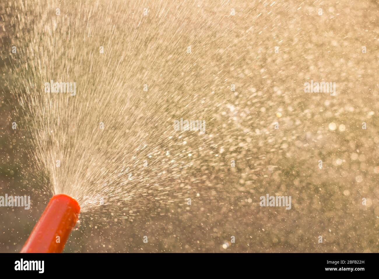 Water splash hose in garden Stock Photo - Alamy