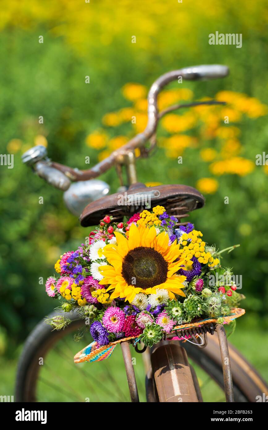 Colorful flower bouquet on a old bicycle Stock Photo - Alamy