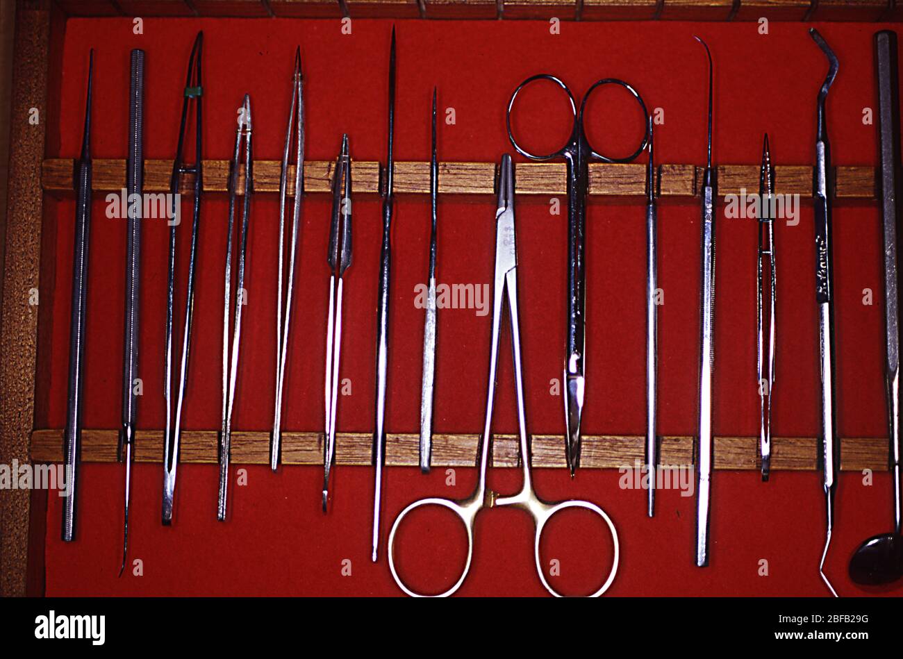 Surgical instruments in a storage box Stock Photo - Alamy