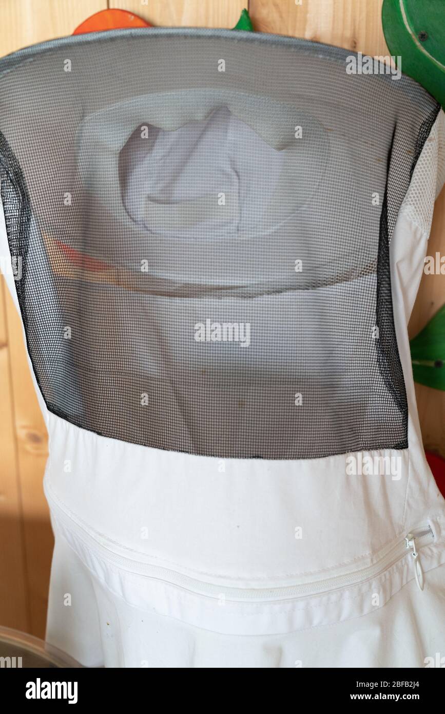Protecting beekeeper mask clothing for making fresh golden honey bees ...
