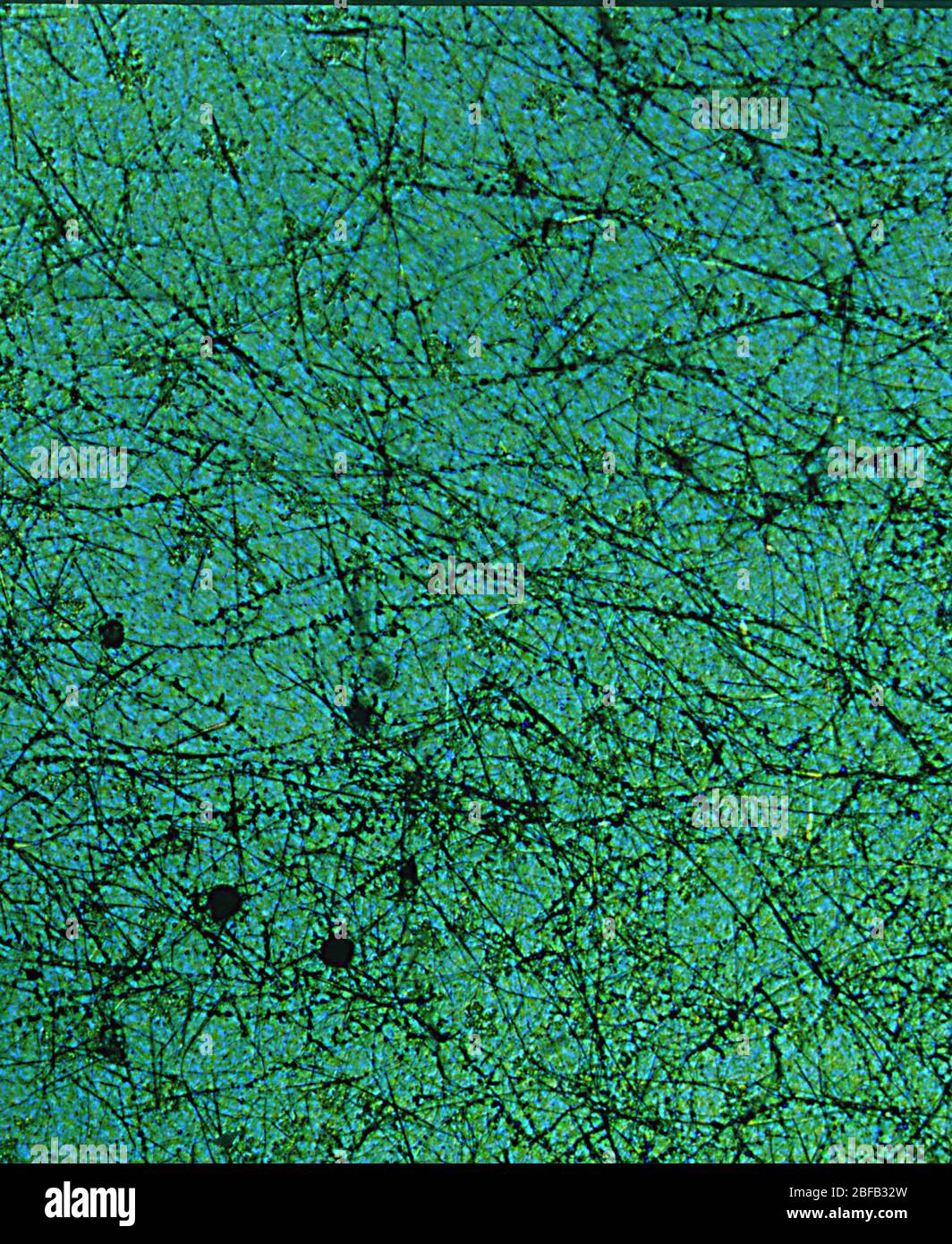 Fungi and bacteria destroy the emulsion film Stock Photo - Alamy