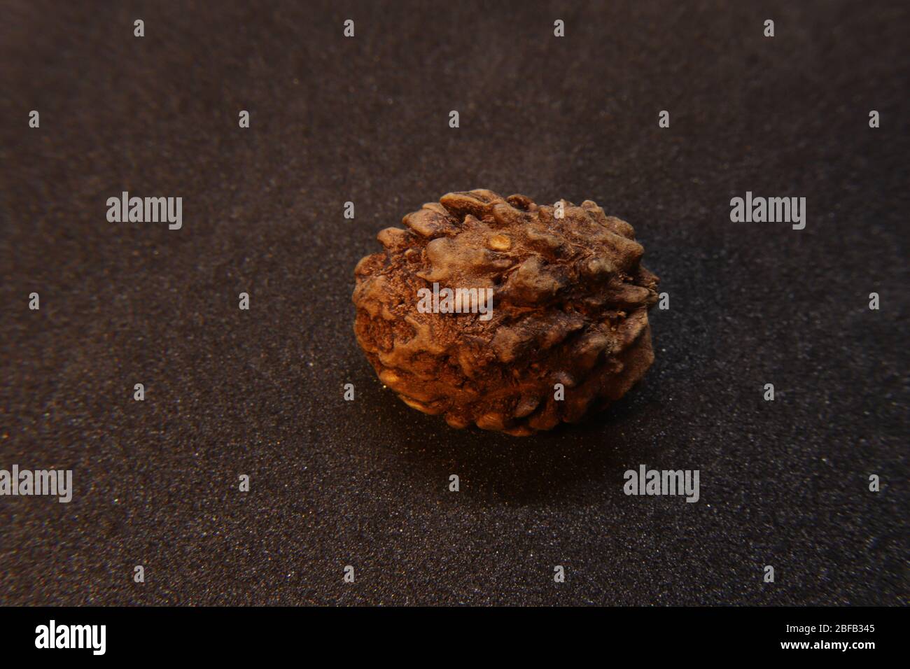 nepali seeds for indians Stock Photo - Alamy