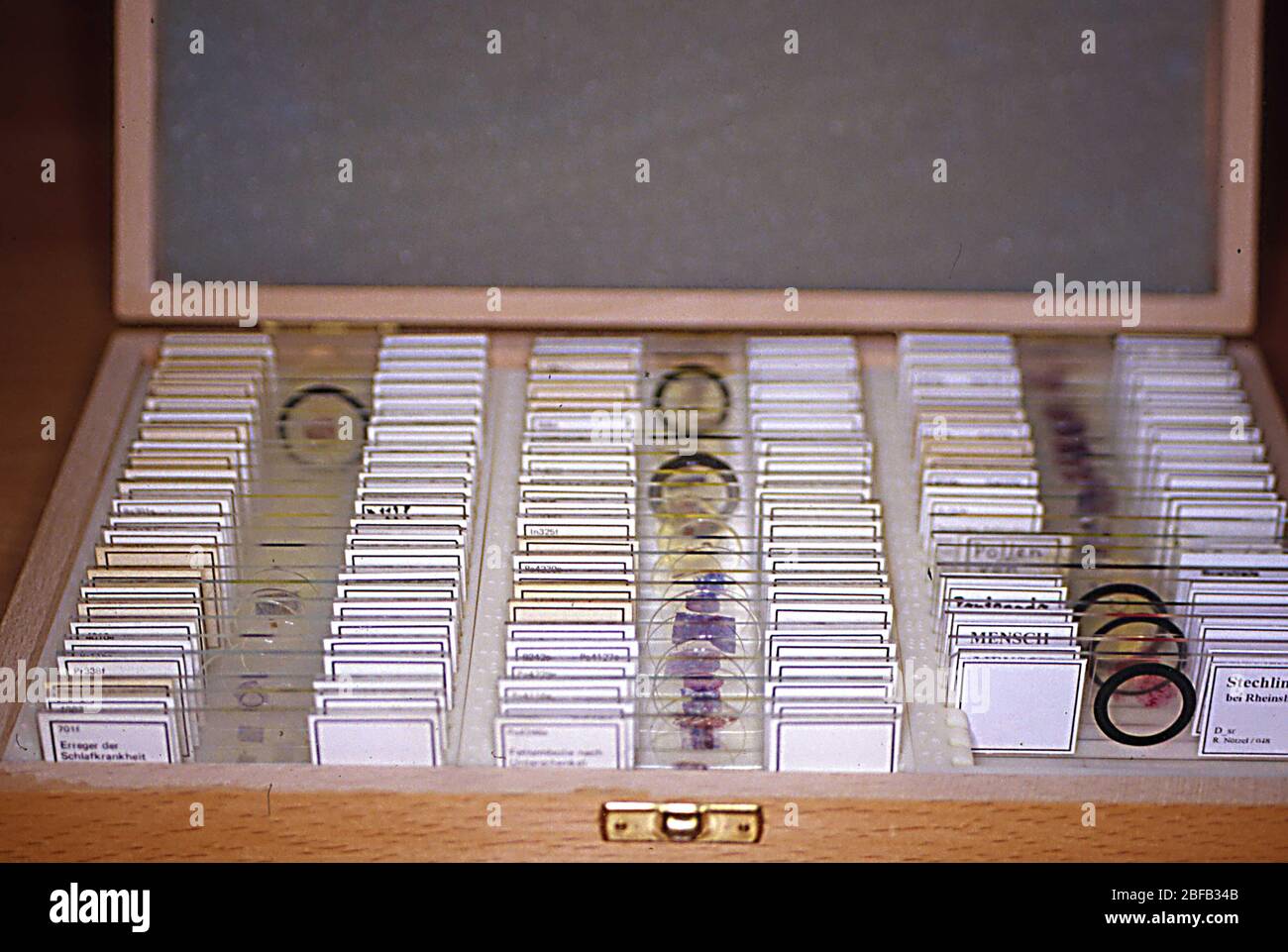 Tissue storage hi-res stock photography and images - Alamy