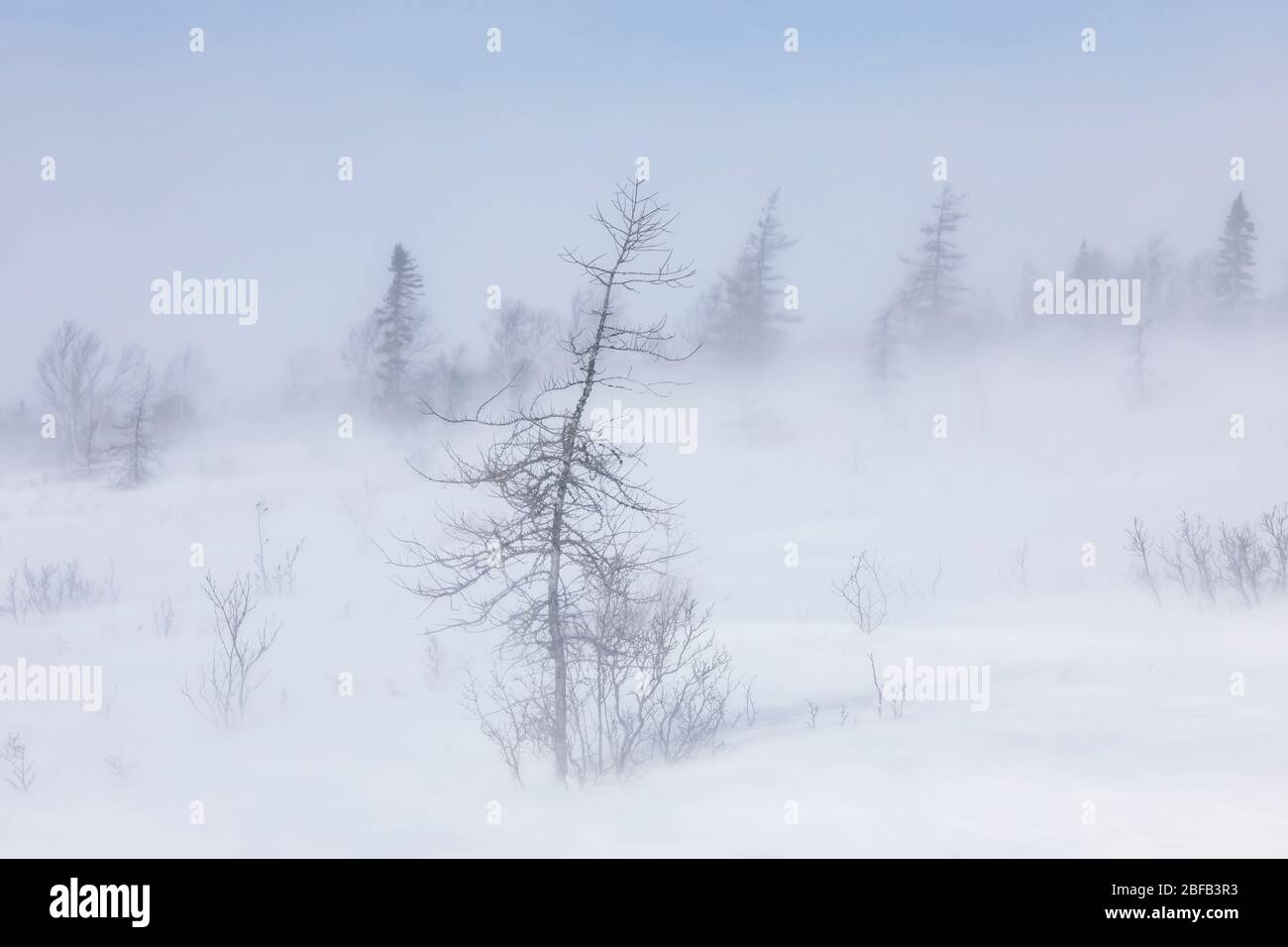 Buchans highway hi-res stock photography and images - Alamy