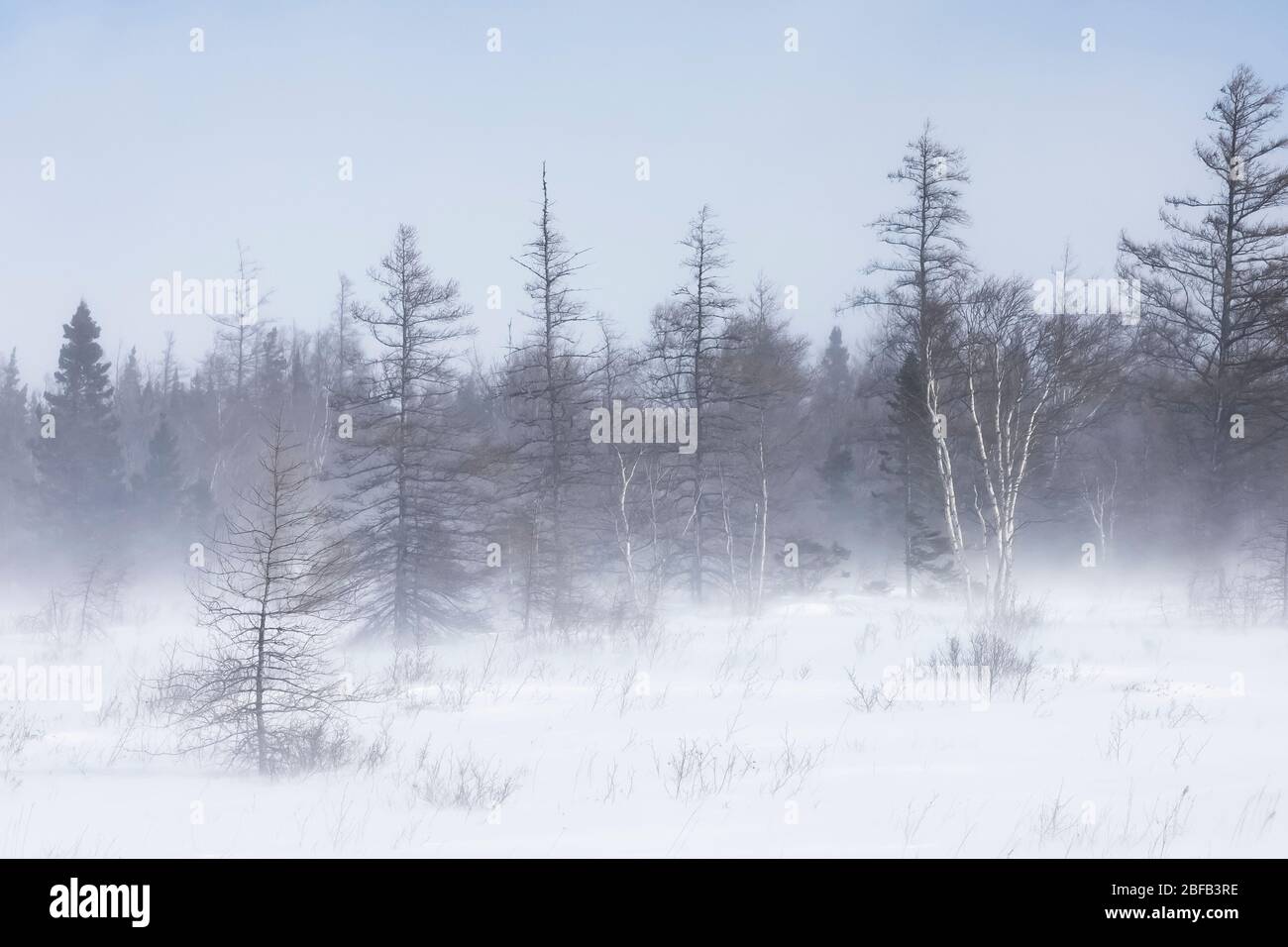 Scattered trees hi-res stock photography and images - Alamy